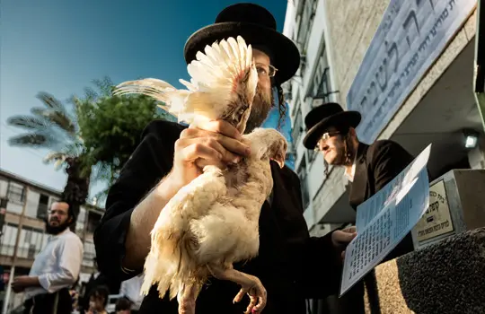 Kapparot - ORNA NAOR | STREET PHOTOGRAPHY