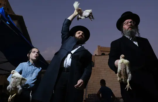 Kapparot - ORNA NAOR | STREET PHOTOGRAPHY